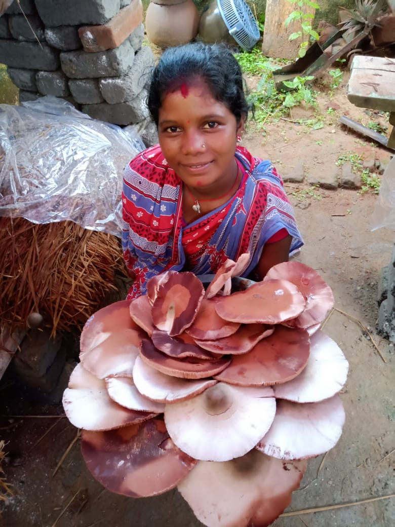 Invest Odisha :: CSR Portal