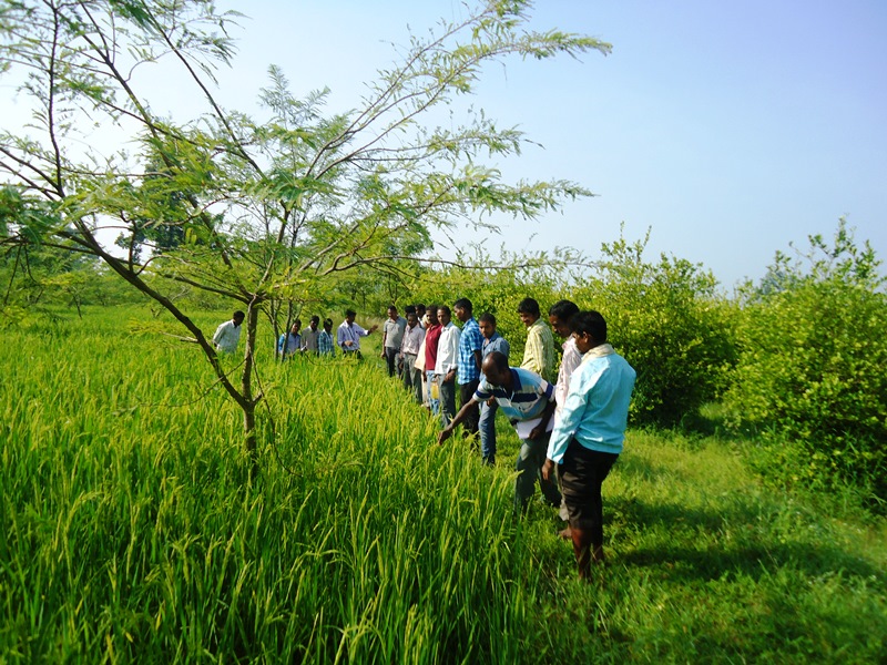 Invest Odisha :: CSR Portal