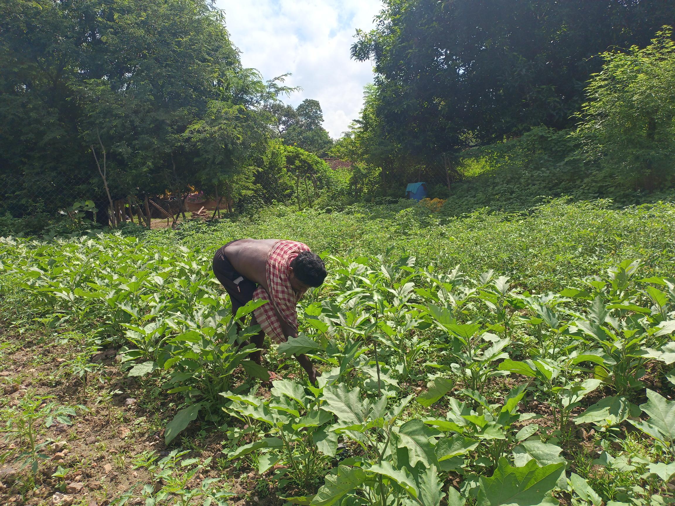 Invest Odisha :: CSR Portal