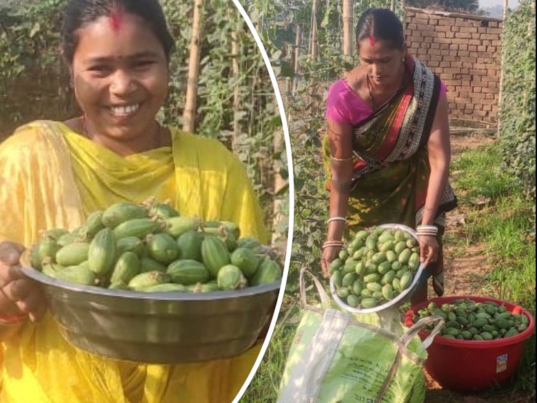 Invest Odisha :: CSR Portal