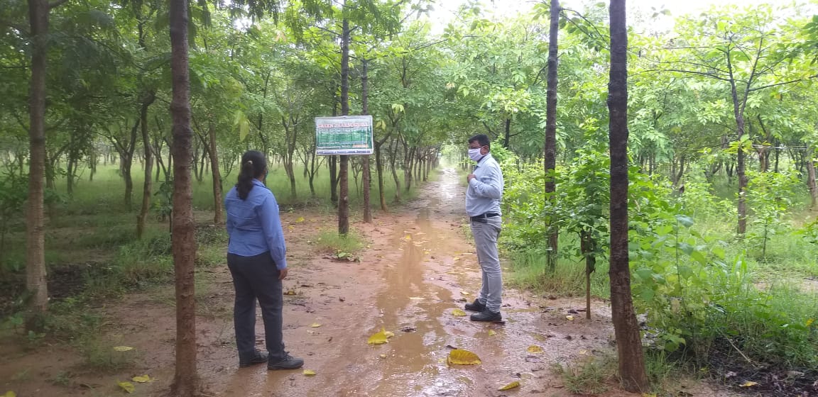 Invest Odisha :: CSR Portal