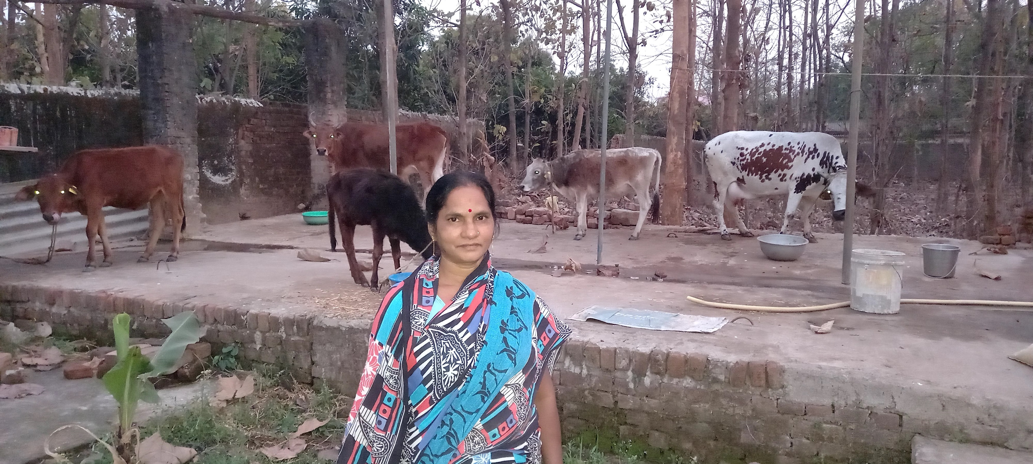 Invest Odisha :: CSR Portal